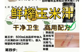 玉米汁怎么做_玉米汁需要煮多久