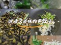 水煮花蚬子怎么做好吃_水煮花蚬子焯水几分钟