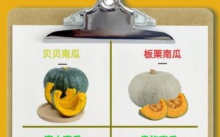 南瓜减肥还是增肥_吃南瓜会胖吗