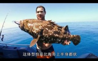 龙趸鱼多少钱一斤2021_龙趸鱼价格走势