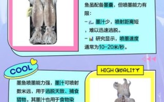 鱿鱼和墨鱼的营养价值差别在哪里_哪个更适合健身餐