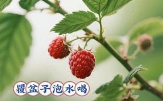 长期喝覆盆子有没有副作用_覆盆子茶能天天喝吗