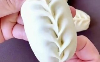 花样饺子包法大全_怎么捏出漂亮褶子