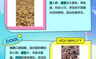 榛蘑和滑子蘑的区别_哪个更好吃