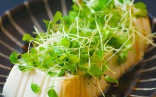 香椿芽拌豆腐怎么做_香椿芽拌豆腐营养价值