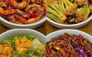 什么是美味菜肴_如何做出美味菜肴