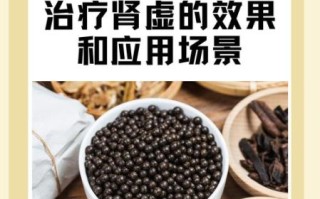 肾虚吃什么食物能补_肾虚吃什么药效果最好