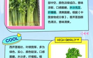 香芹和芹菜的区别_香芹图片怎么辨认