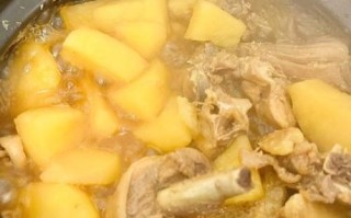 炖鸡块怎么做好吃窍门_鸡块炖多久才入味