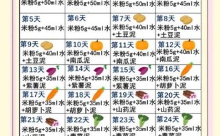 6个月宝宝辅食添加顺序_每天喂多少量合适