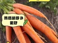 胡萝卜怎么吃最好_生吃还是熟吃