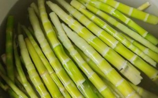 凉拌春笋怎么做_春笋凉拌要不要焯水