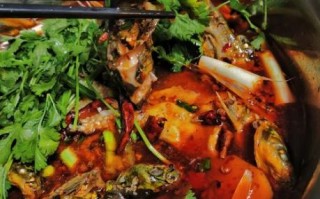 红烧黄辣丁怎么做才好吃_黄辣丁去腥技巧