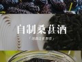 自制桑葚酒能放多久_桑葚酒保质期几年