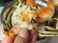 螃蟹蒸多长时间才能熟_清蒸大闸蟹最佳时间
