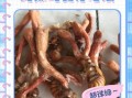金蝉花怎么吃_金蝉花有什么功效