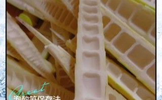 泡竹笋的做法大全_如何快速去涩