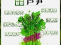 芦笋图片功效与作用_芦笋怎么吃最营养