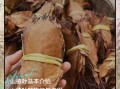 山楂叶的功效与作用_山楂叶能降血压吗