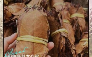 山楂叶的功效与作用_山楂叶能降血压吗