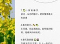 赏油菜花的心情短句_如何写出走心文案