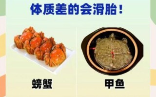 怀孕前三个月注意事项_饮食禁忌有哪些