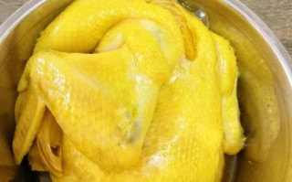 炖鸡的做法_最正宗的做法