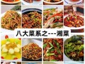 学做湖南菜菜谱大全_湖南菜怎么做好吃