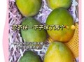 芒果怎么催熟_芒果没熟怎么快速变甜