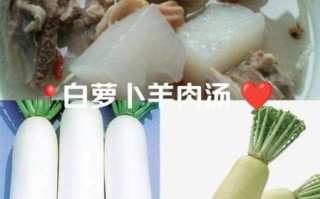 白萝卜可以炖羊肉吗_怎么做才好吃