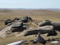 东乌旗有什么好玩的_东乌旗旅游攻略必去景点