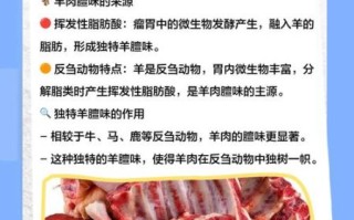 羊肉调料配方大全_如何去除膻味