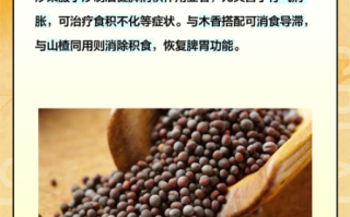 炒莱菔子功效与作用_炒莱菔子怎么吃效果好