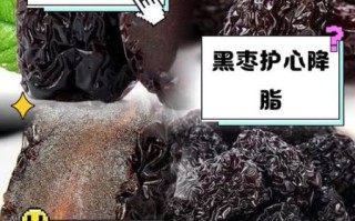 黑枣的功效与作用_黑枣的禁忌症有哪些