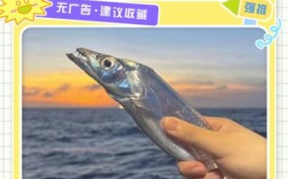 带鱼怎么洗才是正确的_带鱼清洗去腥步骤