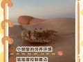 螃蟹怎么养殖_螃蟹养殖需要什么条件