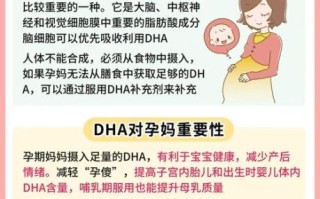 含dha的食物和水果有哪些_孕妇如何补充dha