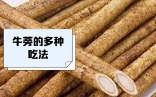 牛蒡多少钱一斤_新鲜牛蒡价格行情