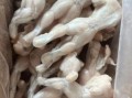 牛蛙多少钱一斤_牛蛙批发价格行情