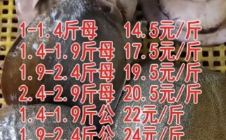 甲鱼养殖成本多少钱一斤_甲鱼养殖成本怎么计算