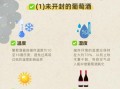 自酿葡萄酒能放多久_如何正确保存
