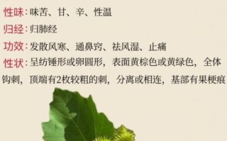 苍耳子治疗鼻炎偏方怎么用_苍耳子治鼻炎有副作用吗