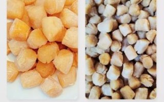 干贝怎么泡发_干贝图片真假辨别