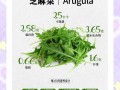 芝麻菜怎么吃_芝麻菜的做法大全