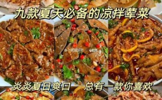 家常凉菜荤菜100道_夏天开胃荤凉菜怎么做