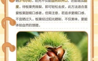 栗子怎么去皮最快_生栗子剥壳不碎的技巧