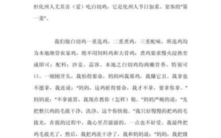 风味食品作文500字怎么写_风味食品有哪些素材