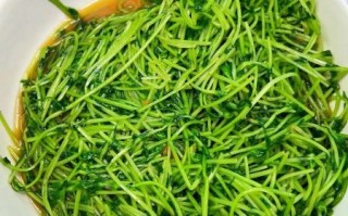 清炒豆苗怎么做_清炒豆苗需要焯水吗