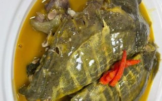 水鱼的做法有几种_水鱼怎么做好吃