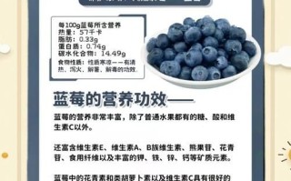 蓝莓的营养价值有哪些_蓝莓的功效与作用